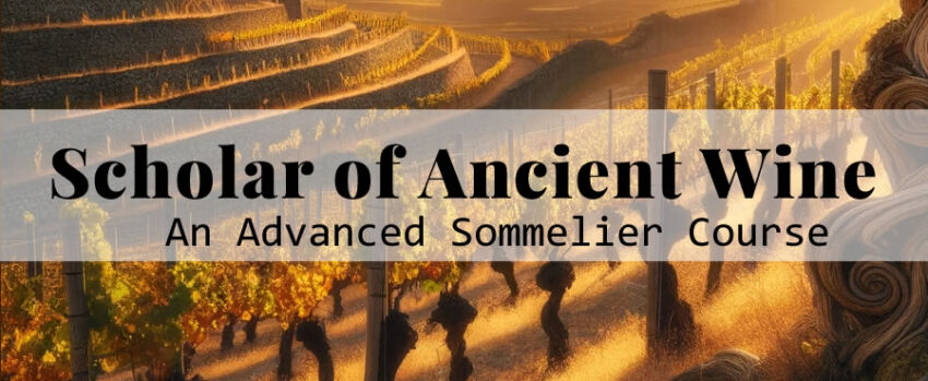 Advanced Sommelier Pin - 4 Amazing Semesters in Wine